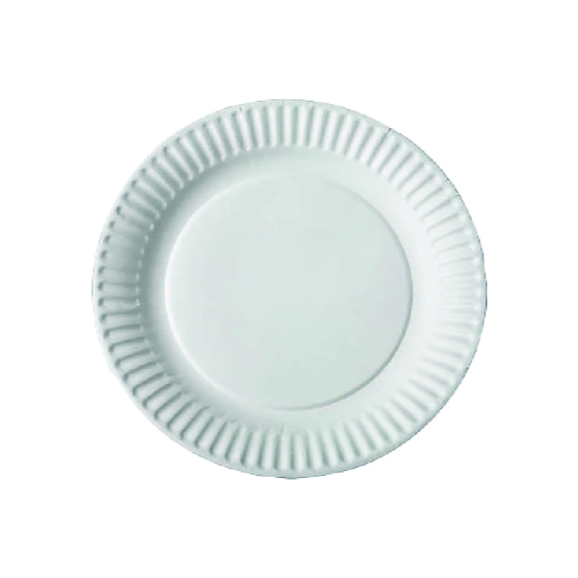 Assiette Papier Non Plastifiée 9'' (1200/cs)